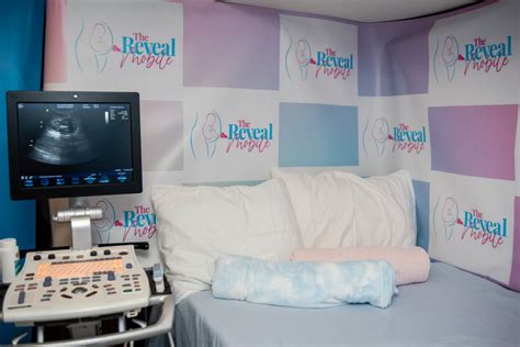 Gallery Gender Reveal Parties The Reveal Mobile