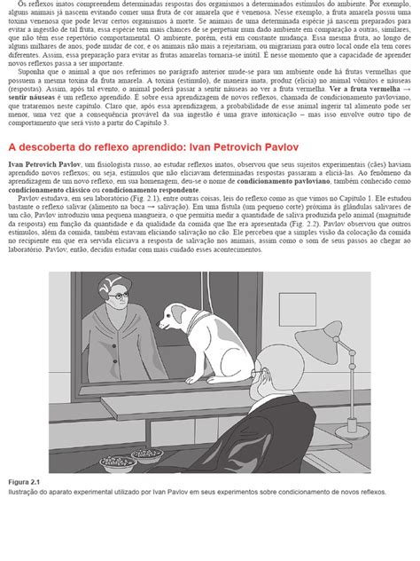 Principios Basicos Da Analise Do Comportamento 2nbsped Pdf