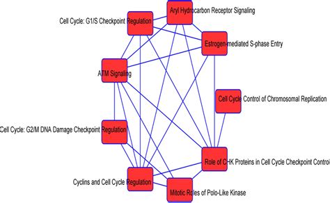 Overlapping Canonical Pathways Modified By Dclk1 Overexpression Which