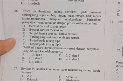 26 Proses Pembentukan Tulang Osifikasi Pada Manusia Berlangsung Sejak