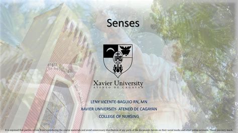SOLUTION Senses Part 1 Studypool