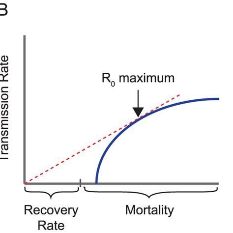 Trade Off Models For Virulence Evolution A A Typical Trade Off Curve