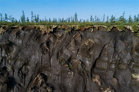 Permafrost