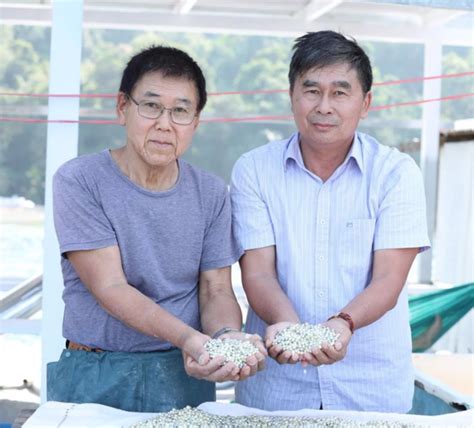 NgỌc Trai NgỌc HiỀn TỰ HÀo SỞ HỮu NÔng TrẠi NuÔi CẤy NgỌc Trai LỚn N
