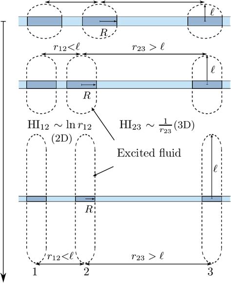 Schematic Of Effective Description Of The Hydrodynamic Interactions Hi