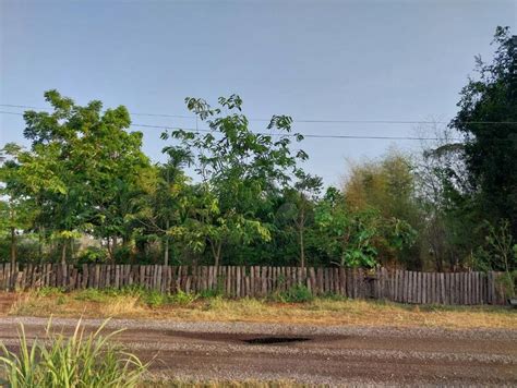🏡 ขายที่ดิน 6 ไร่ เจ้าของขายเอง อ หนองหญ้าไซ จ สุพรรณบุรี ที่ดินสวย