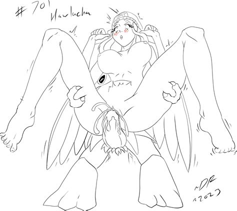 Post Dawn DRSafterdark Hawlucha Porkyman