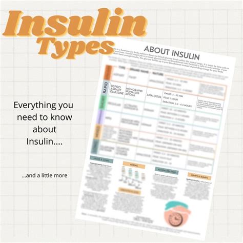 About Insulin Guide For Nursing Babes Diabetics Etsy