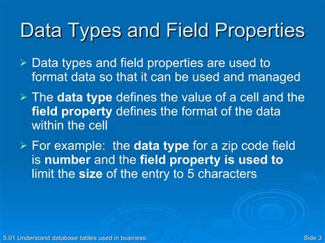 Data Types And Field Properties Ppt