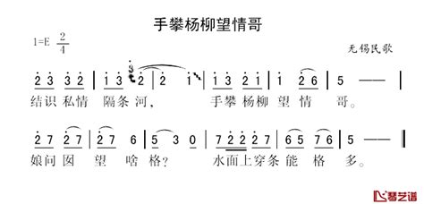 手攀杨柳望情哥简谱 简谱网