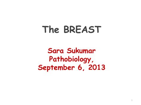 Breast Johns Hopkins Medicine