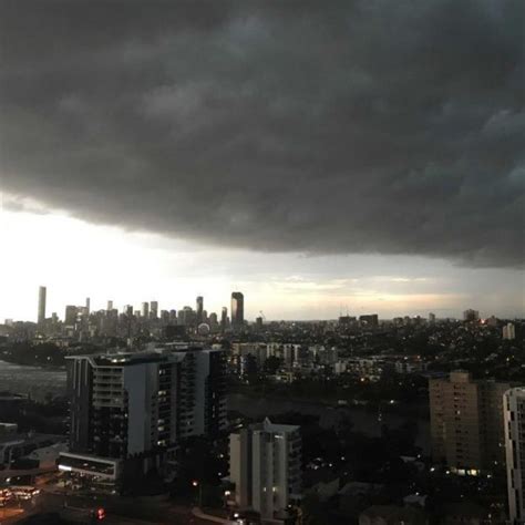 Flying Termites And The Brisbane Storm Season Conquer Termites Northside