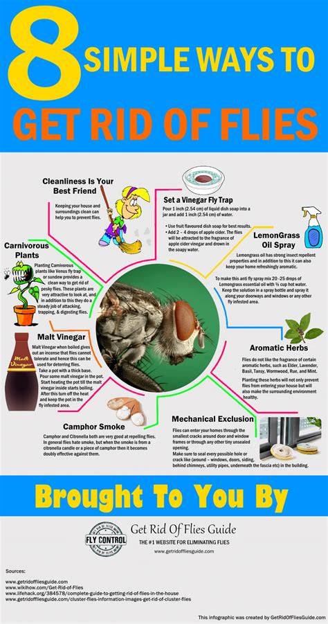 35 Effective Ways To Get Rid Of Flies That Actually Work