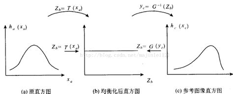 直方图规定化详解 Csdn博客