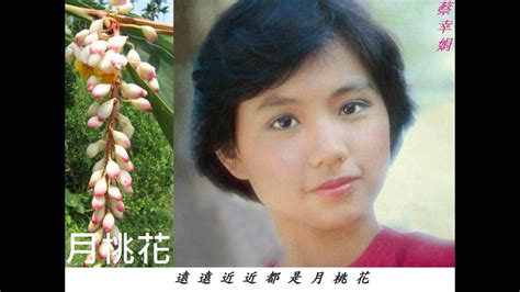 蔡幸娟 月桃花 YouTube