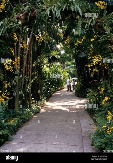 Singapore Botanic Gardens Visitors In National Orchid Garden On Path Though Tropical Foliage
