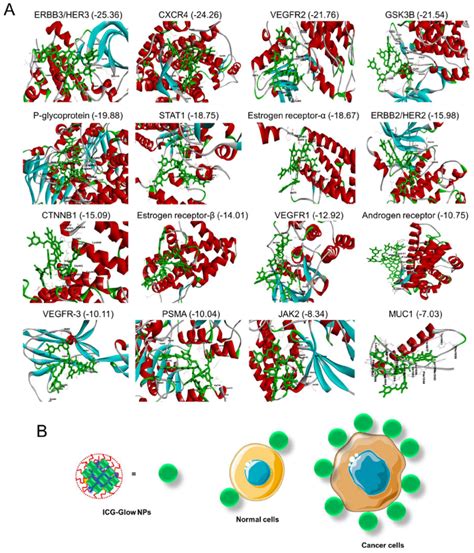 Molecular Interaction Of Tannic Acid With Oncogenic Surface Proteins