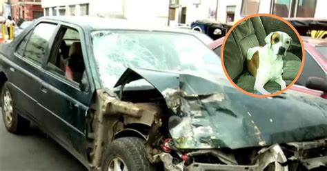 Chofer Involucrado En Accidente En La Avenida Abancay Se Distrajo Con