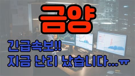 【금양】 지금 긴급입니다 베터리 공급계약 유상증자 Youtube