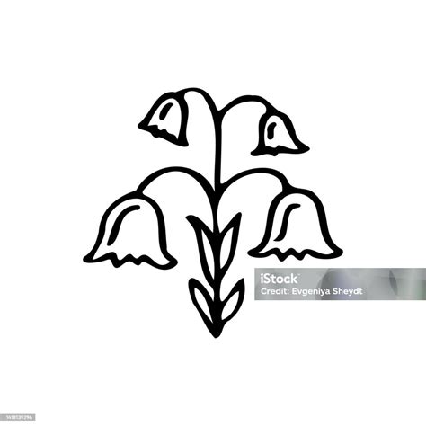 벡터 분리 된 단일 백합 계곡 분기 무색 흑백 윤곽선 그리기 5월에 대한 스톡 벡터 아트 및 기타 이미지 5월 계곡 꽃 나무 Istock