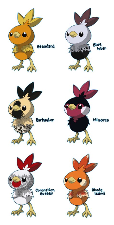 Pkmn Torchic Variations Pokémon Species Pokemon Pokemon Breeds