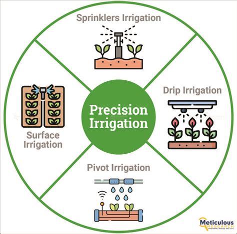 Pratiksha Kulkarni On Linkedin Keyplayers Agriculture
