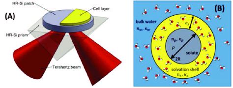 A Terahertz Attenuated Total Reflection Thz Atr Device Using A Download Scientific Diagram