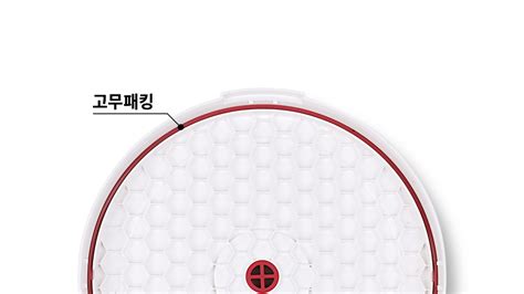 Genesis Boutique 클리어 세차 버킷 세트