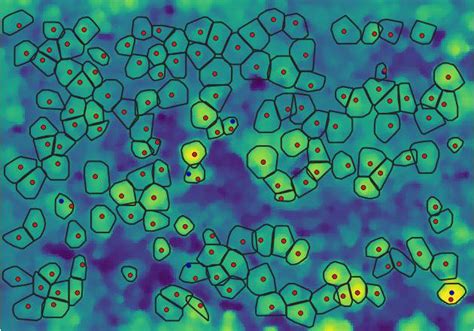 How To Utilize Results Of Tree Crown Delineation Raster That Has Crown Area Polygons Gis