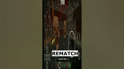 Minecraft Piglin Vs Wither Skeleton Youtube