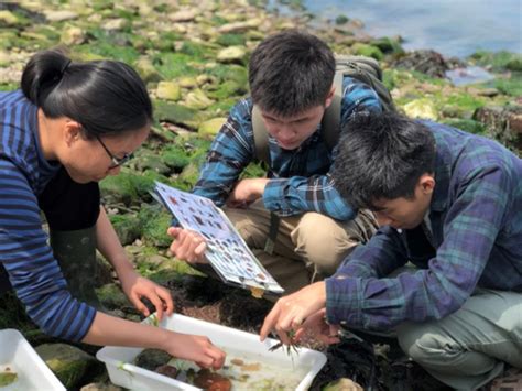 Beyond The Classroom