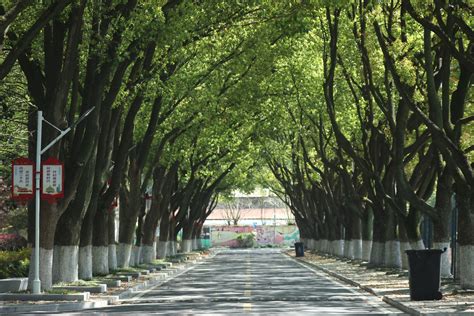 嘉兴南湖学院