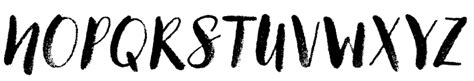 Canvas Script Reg Font Script Decorative What Font Is