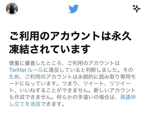 Twitterのアカウントが急に凍結された件→解消されました！ コスパ美人