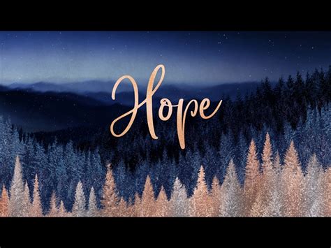 Sparkling Trees Hope Life Scribe Media Worshiphouse Media