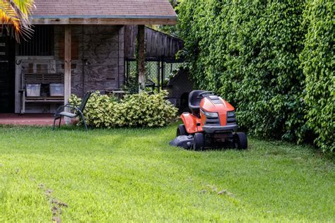When To Dethatch Bermuda Grass Home And Garden Talk