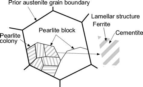 Austenite Ferrite Cementite Pearlite Martensite