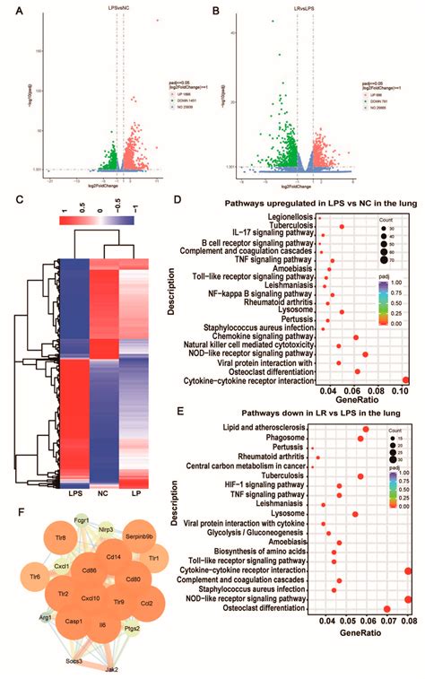 L Reuteri Regulates Lung Transcription In Mice With ALI Volcano Map