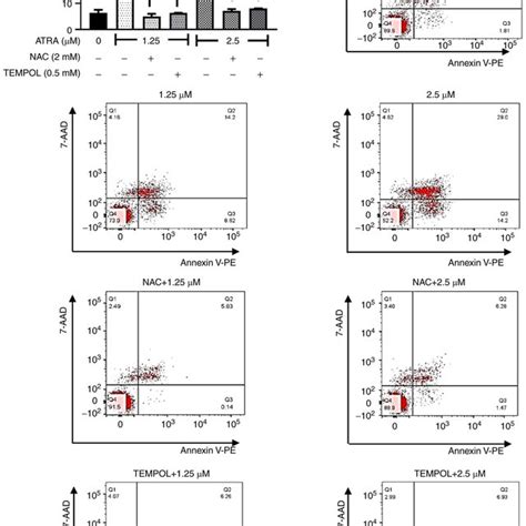 Atra Induced Apoptosis Is Causally Related To Ros Formation A