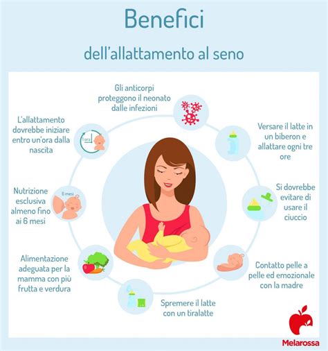 Allattamento Al Seno Guida E Consigli Pratici