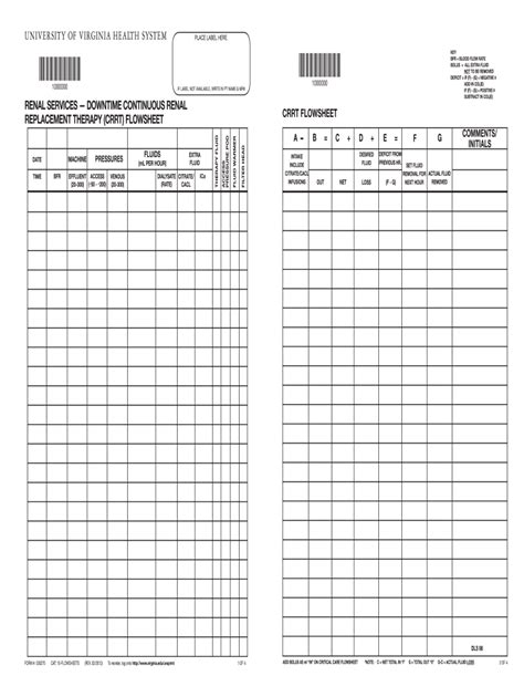 Crrt Flowsheet Fill Online Printable Fillable Blank PdfFiller