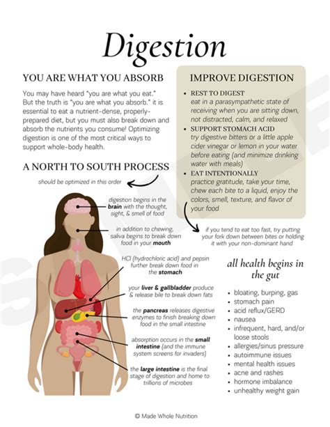 Foundations Of Natural Health Artofit