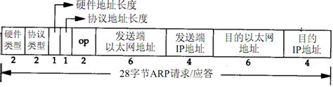 TCPIP以太网数据包格式解析及LWIP架构图解 word文档在线阅读与下载 无忧文档