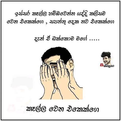 ඒත් මම පණ පිටින් සඳමාලී R Sinhalamemes