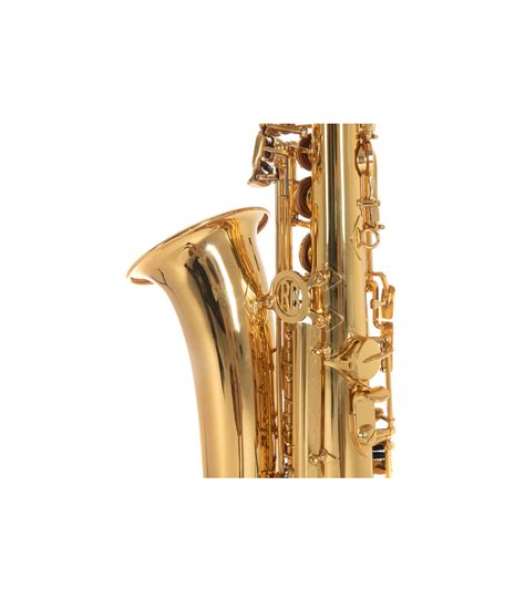 Roy Benson AS-201 Alto Saxophone