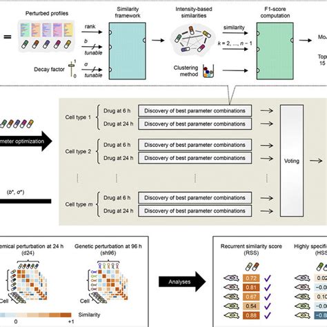 Workflow Of The Intensity Based Similarity Framework Download