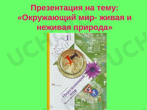 📈 Презентация №7 по теме “Живая и неживая природа” для 1 класса Учи ру