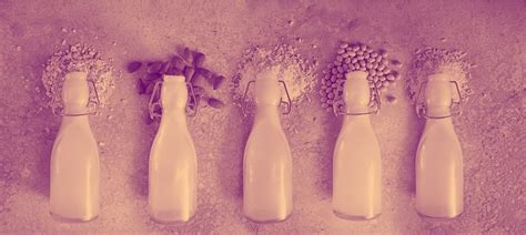 The Importance Of Food Innovation With Examples And Breakthroughs