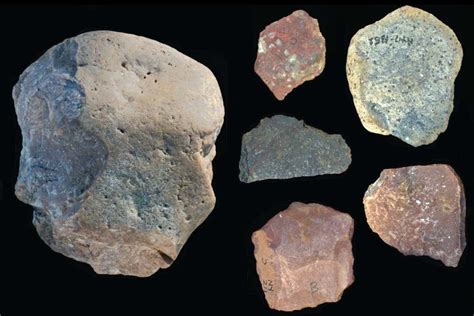 Early Hominin Paranthropus May Have Used Oldowan Stone Tools New