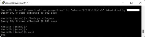 Habilitar Acceso Remoto A MariaDB MySQL En Linux Debian Proyecto A
